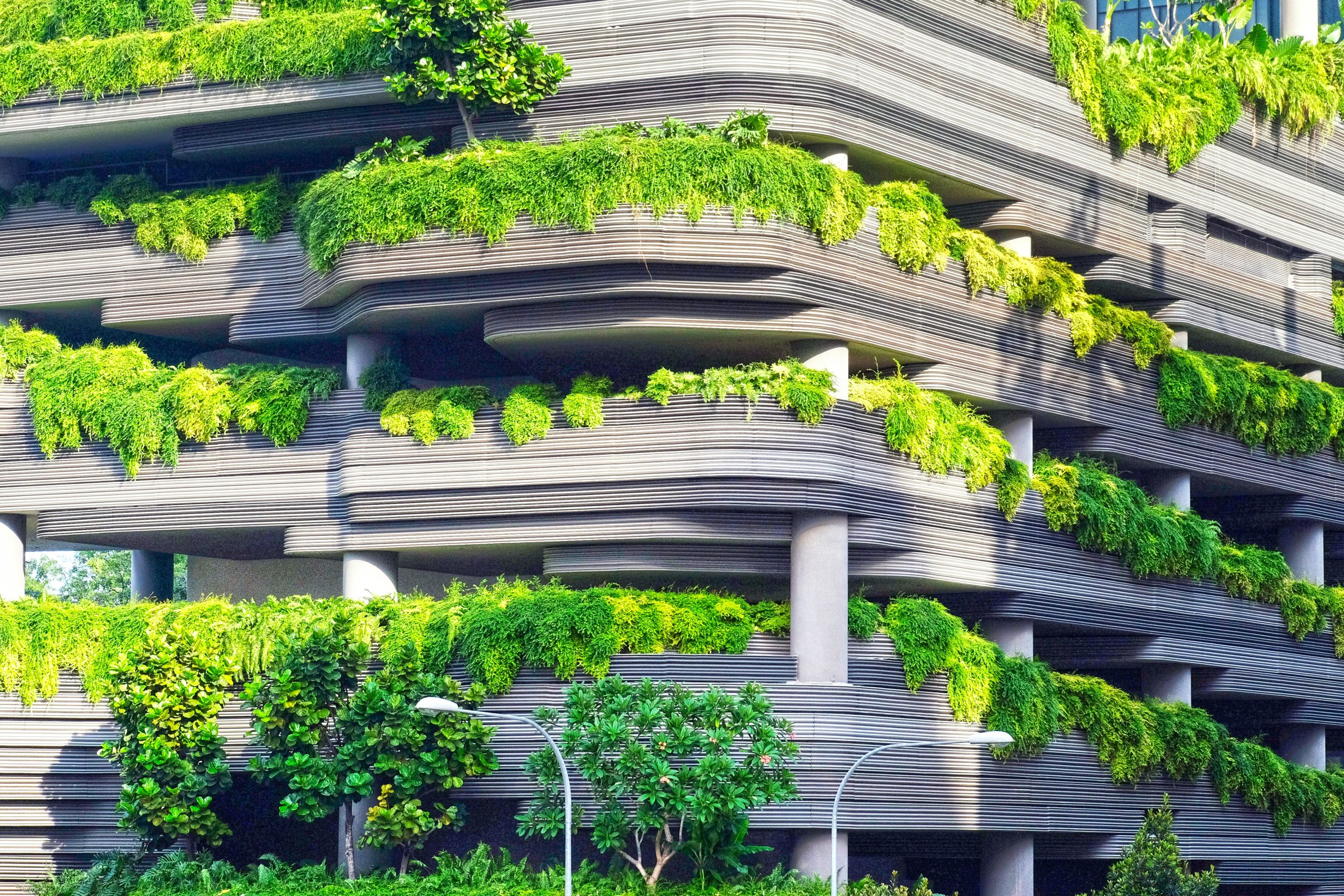 Who Should Lead ESG? Safety as a Strategic Integrator | HSE